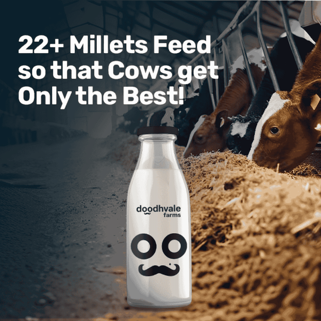 Doodhvale Farms - Online Milk & Groceries Delivery In Delhi NCR