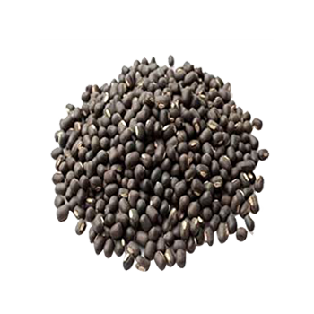 Urad Dal Saboot